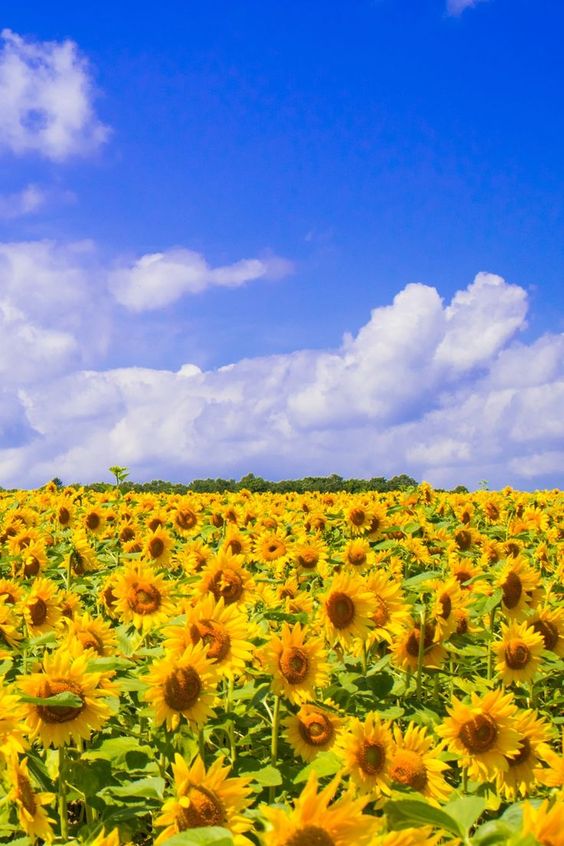 성경진리사역원(BTMK) | 하락의 시대에 필요한 복음